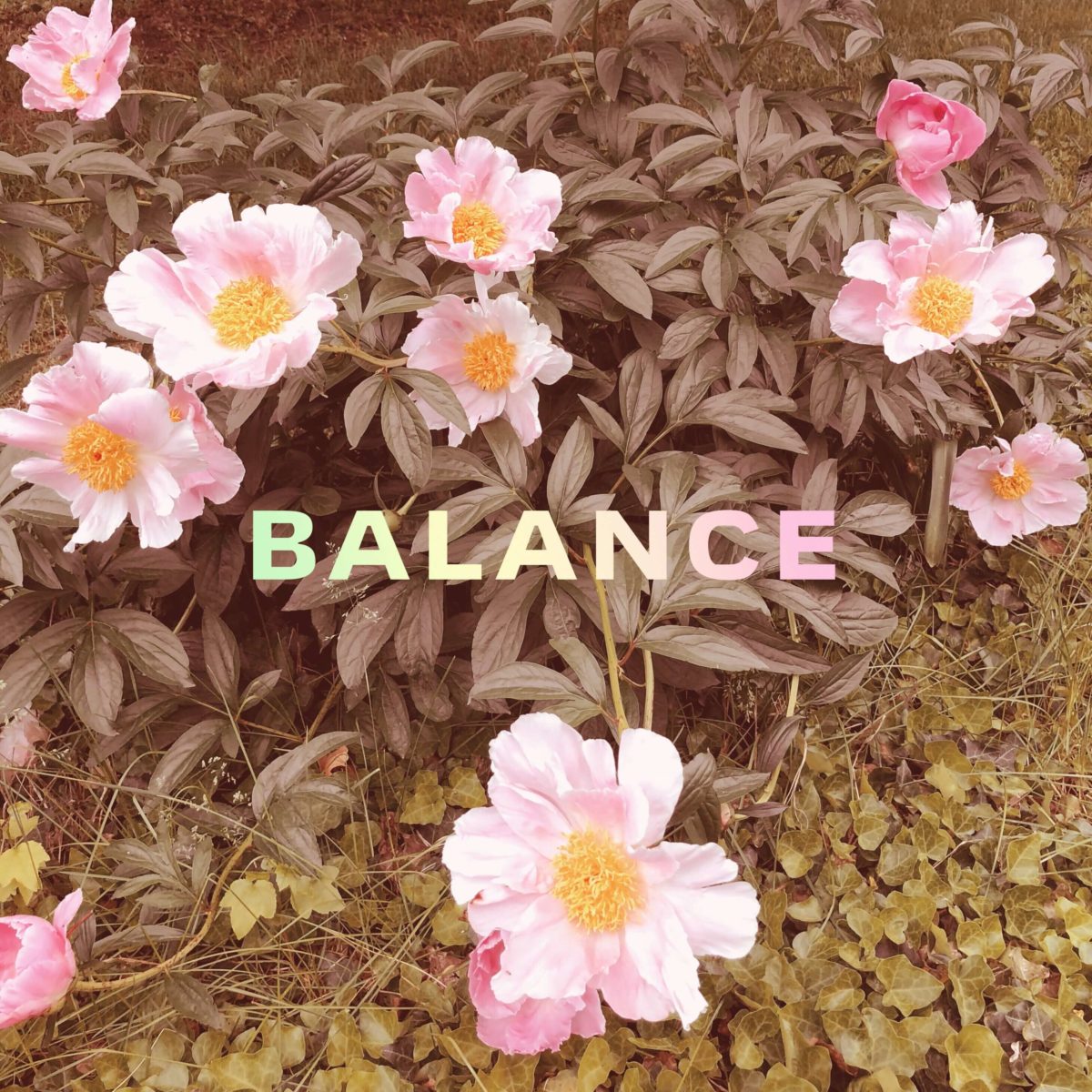 Clean Design Tips - A Color Story