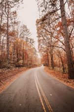 How to Get Perfect Fall Vibes in Your Photos, Every Time - A Color Story